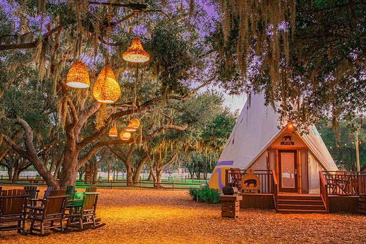 Primavera na Flórida: Saiba o que está rolando - MD1® ORLANDO